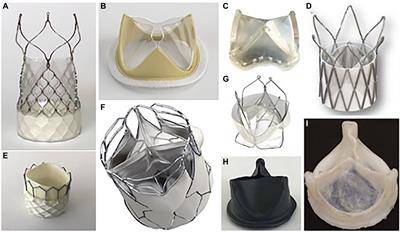 Frontiers | Polymeric prosthetic heart valves: A review of current technologies and future ...